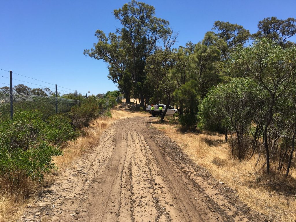 Firebreaks – Western Conservation